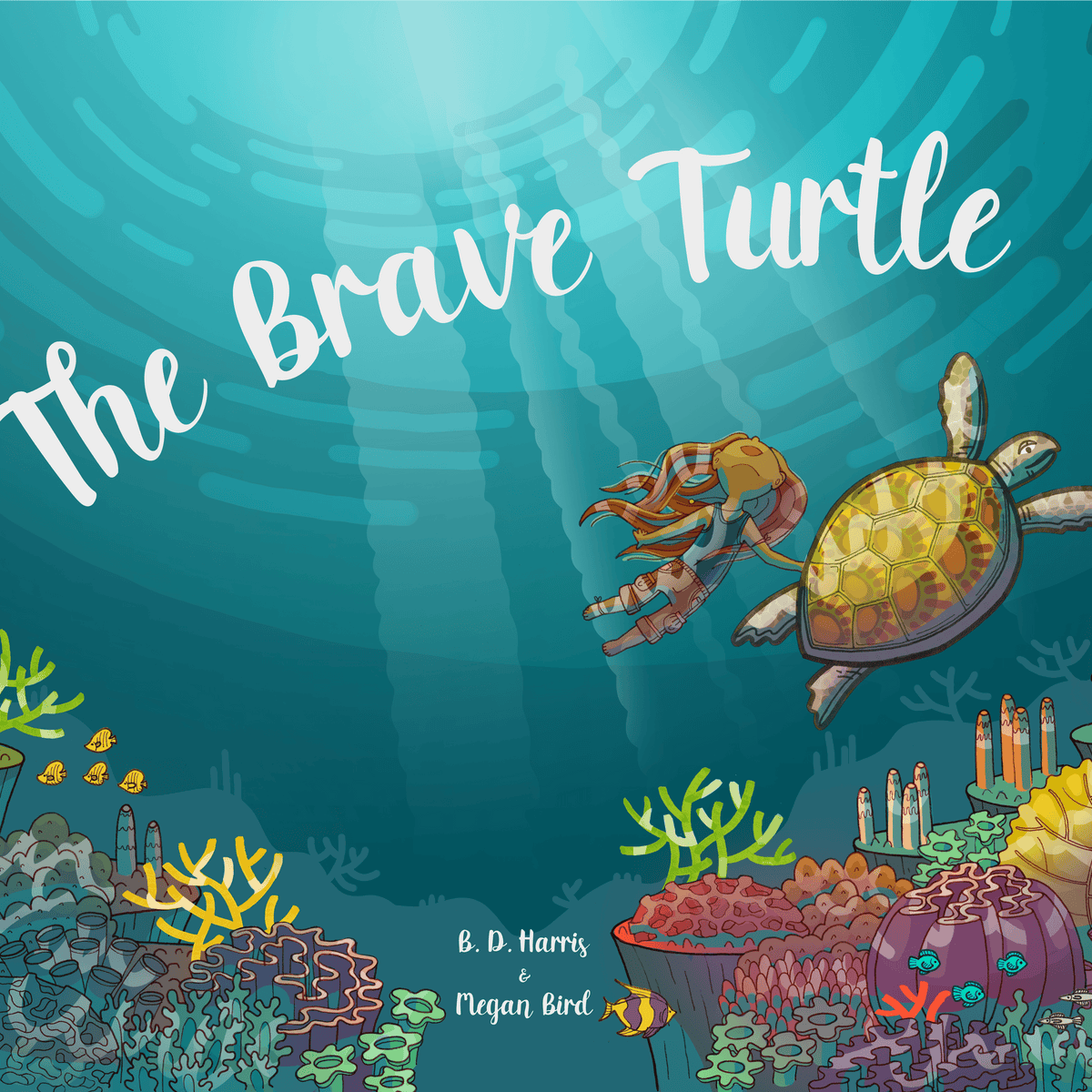 The Brave Turtle | NSRI & Imagnary House